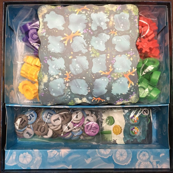 Reef – Game Night Blog
