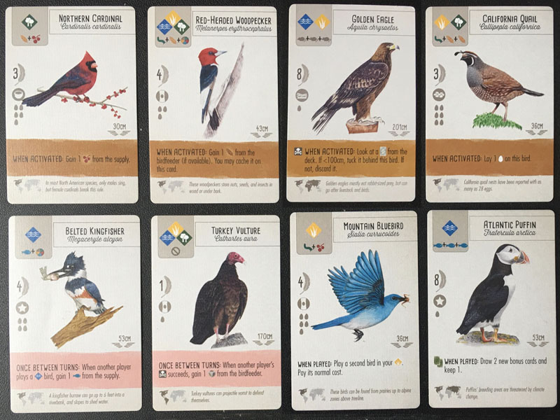 Wingspan Rules Overview – Game Night Blog