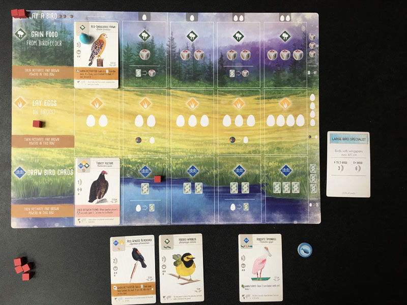 Wingspan Rules Overview – Game Night Blog